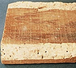 Lyctus Brunneus : traitement contre les dégâts du lycte brun